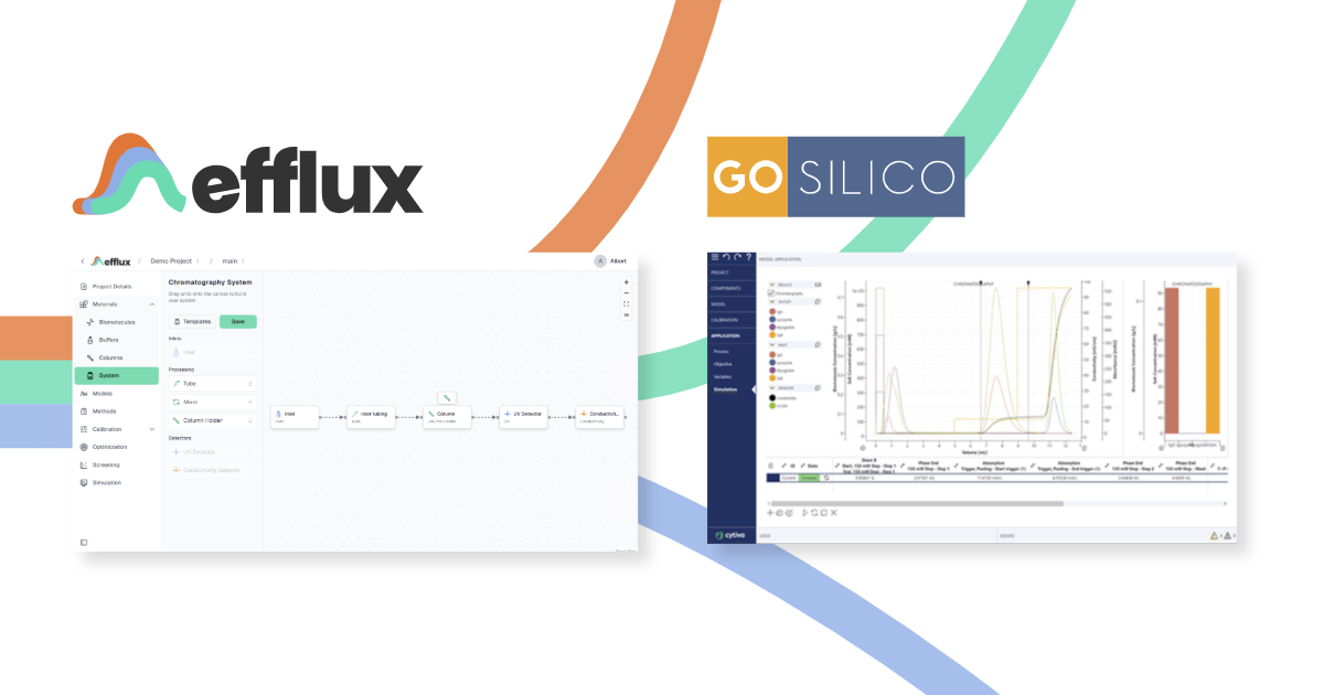Efflux vs GoSilico | Efflux